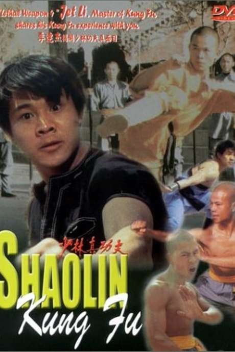 ‎Li Lian Jie's Shaolin Kung Fu (1994) directed by Vincent Leung Wing ...