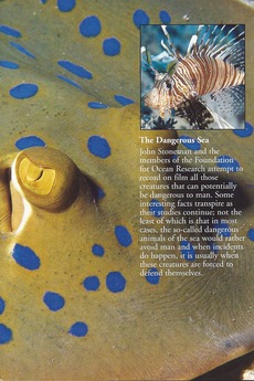 ‎Oceans Alive Kingdom of the Coral Reef: The Dangerous Sea • Film ...
