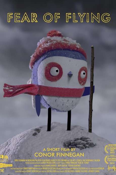 ‎Fear of Flying (2012) directed by Conor Finnegan • Reviews, film ...