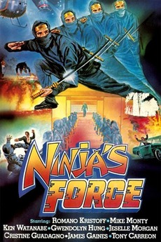 ‎Ninja's Force (1984) directed by Teddy Chiu, Romano Kristoff • Reviews ...