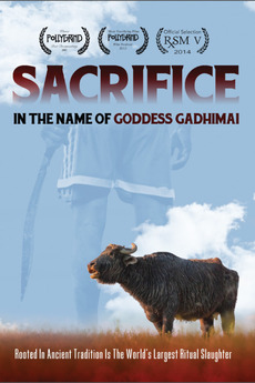 ‎Sacrifice: In the Name of Goddess Gadhimai directed by Chandan Gupta ...