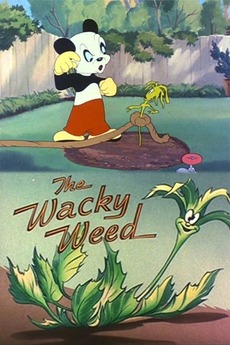 goofy weed