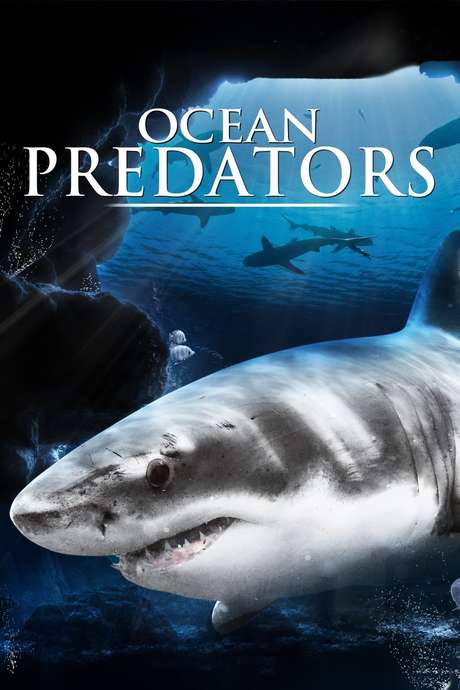 ‎Ocean Predators (2013) directed by Benjamin Eicher • Reviews, film ...
