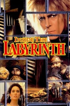 ‎Inside the Labyrinth (1986) directed by Desmond Saunders • Reviews, film + cast • Letterboxd