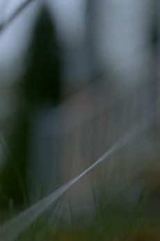 ‎50 Feet of String (1995) directed by Leighton Pierce • Reviews, film ...