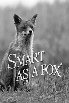 ‎Smart as a Fox (1946) directed by Gordon Hollingshead • Reviews, film ...