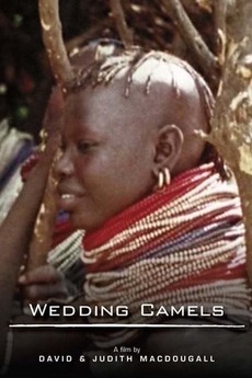 ‎The Wedding Camels (1980) directed by Judith MacDougall, David ...