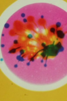 ‎Color Rhapsodie (1948) directed by Mary Ellen Bute, Ted Nemeth ...