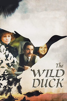 ‎The Wild Duck (1984) directed by Henri Safran • Reviews, film + cast ...
