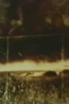 ‎Song 2 (1964) directed by Stan Brakhage • Reviews, film + cast ...