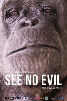 ‎See No Evil (2014) directed by Jos de Putter • Reviews, film + cast ...
