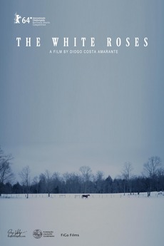 ‎The White Roses (2014) directed by Diogo Costa Amarante • Reviews ...