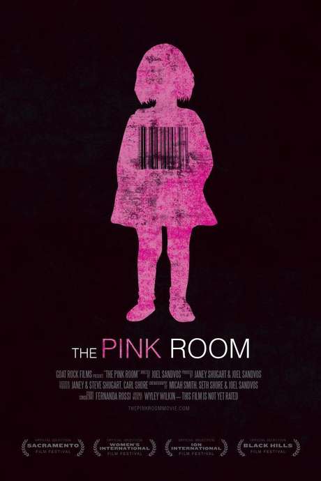 ‎The Pink Room (2011) directed by Joel Sandvos • Reviews, film + cast ...