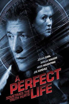 ‎A Perfect Life (2011) directed by Jith Sen • Reviews, film + cast ...