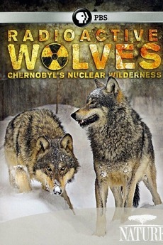 ‎Radioactive Wolves: Chernobyl's Nuclear Wilderness (2011) directed by ...