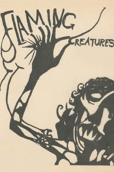 ‎Flaming Creatures (1963) directed by Jack Smith • Reviews, film + cast ...