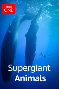 ‎Supergiant Animals (2013) directed by Matthew Wright • Film + cast ...