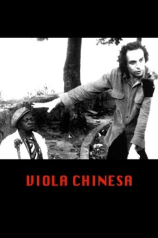 ‎Chinese Viola (1975) directed by Júlio Bressane • Reviews, film + cast ...