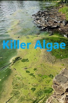 ‎Killer Algae (2009) • Film + cast • Letterboxd