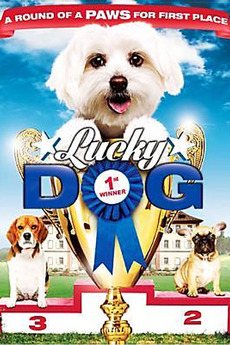 ‎Lucky Dog (2014) • Reviews, film + cast • Letterboxd
