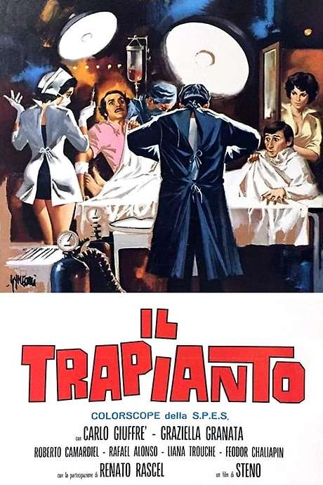 ‎Transplant (1970) directed by Steno • Film + cast • Letterboxd