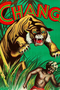 chang poster