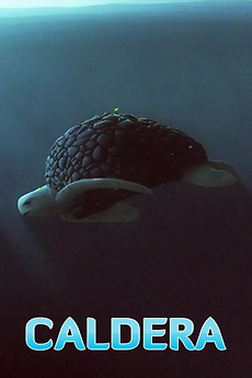 ‎Caldera (2012) directed by Evan Viera • Reviews, film + cast • Letterboxd