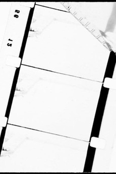 ‎Gradual Speed (2013) directed by Els van Riel • Reviews, film + cast ...