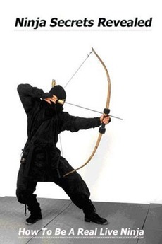 ‎Ninja Bombs (2005) directed by Chris R. Notarile • Film + cast ...