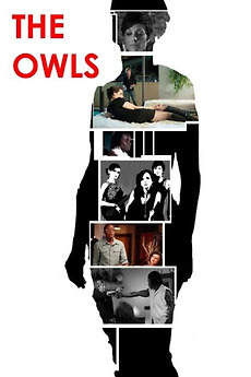 ‎The Owls (2010) directed by Cheryl Dunye • Reviews, film + cast ...