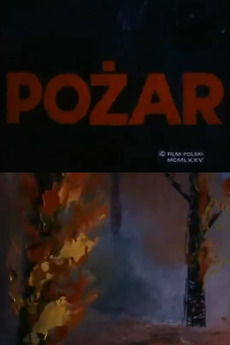 ‎Fire (1975) directed by Witold Giersz • Reviews, film + cast • Letterboxd