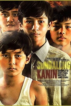 ‎Rice Soldiers (2014) directed by Janice O'Hara • Reviews, film + cast ...