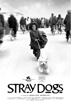 ‎Stray Dogs (2004) directed by Marziyeh Meshkiny • Reviews, film + cast ...