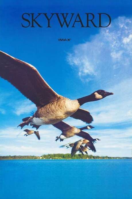 ‎Skyward (1985) directed by Stephen Low • Film + cast • Letterboxd