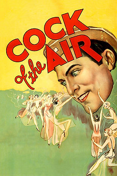 ‎Cock of the Air (1932) directed by Tom Buckingham • Reviews, film ...