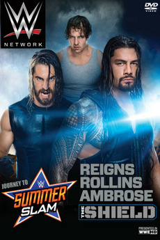 summerslam 2018 dvd