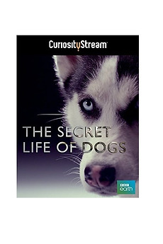 The Secret Life of Dogs’ review by zzwzzwzz • Letterboxd