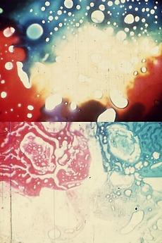 ‎Mainstream (1968) directed by Jerry Abrams • Reviews, film + cast ...