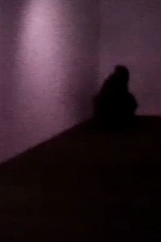 ‎Seedbed (1972) directed by Vito Acconci • Reviews, film + cast ...