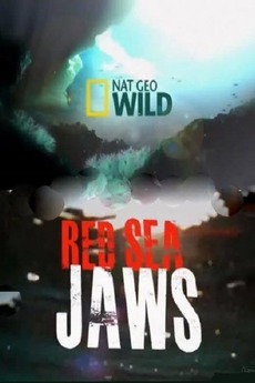 ‎Red Sea Jaws (2011) directed by Bill Markham, Ruth Harries • Reviews ...