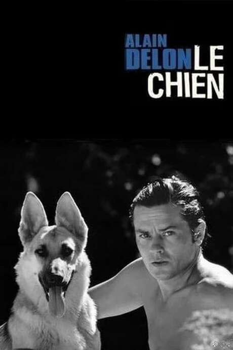 ‎Le chien (1962) directed by François Chalais • Reviews, film + cast ...