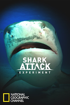 ‎Shark Attack Experiment Live (2011) directed by Peter Cilliers • Film ...