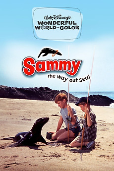 sammy seal
