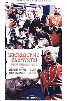 ‎Hello Elephant (1952) directed by Gianni Franciolini • Reviews, film ...