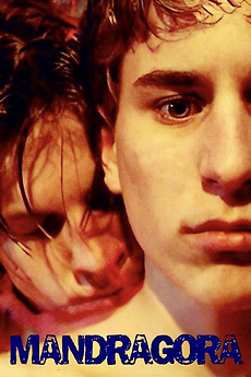 ‎Mandragora (1997) directed by Wiktor Grodecki • Reviews, film + cast ...