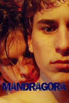 ‎Mandrake (1997) directed by Wiktor Grodecki • Reviews, film + cast ...