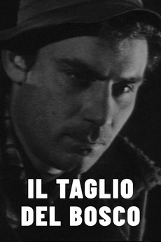 ‎Timber Cutting (1963) directed by Vittorio Cottafavi • Reviews, film ...