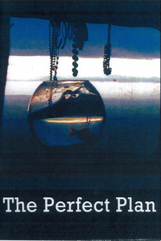 ‎The Perfect Plan (2012) directed by Caroline Harris, Claire Hodgson ...