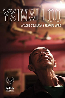 ‎Yximalloo (2014) directed by Tadhg O'Sullivan, Feargal Ward • Reviews ...