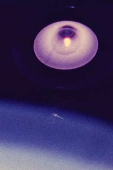 ‎Night Mix (1982) directed by Joseph Bernard • Reviews, film + cast ...